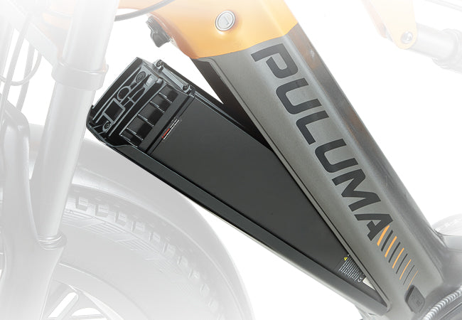 PULUMA PH003 Official Store | 48V 20Ah battery | Dual motor 2000W
