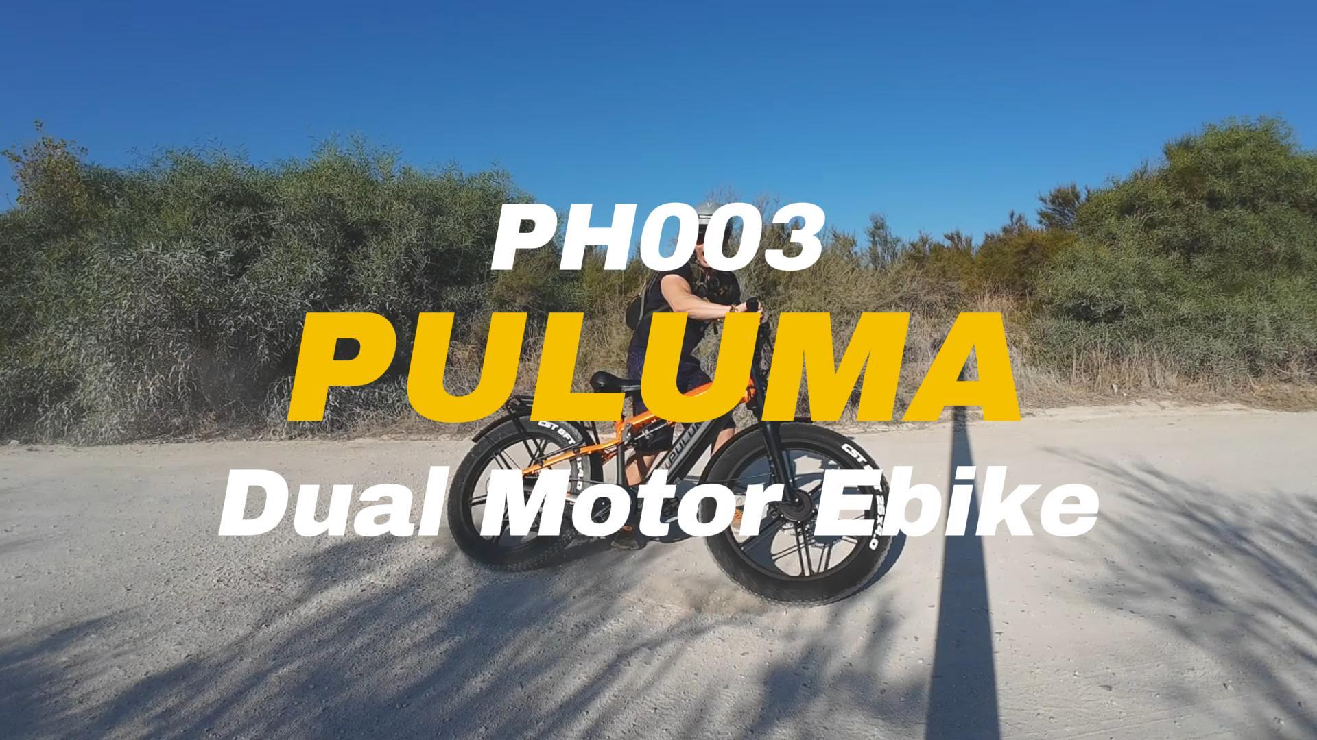 PULUMA PH003 Official Store | 48V 20Ah battery | Dual motor 2000W