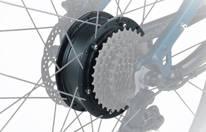 PULUMA PH001 Soft tail Electric Bike | Official Store|48V20AH Battery